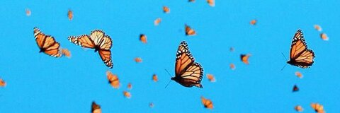 Find the Hottest rayraywhit OnlyFans Content Join Now - FanStatistics